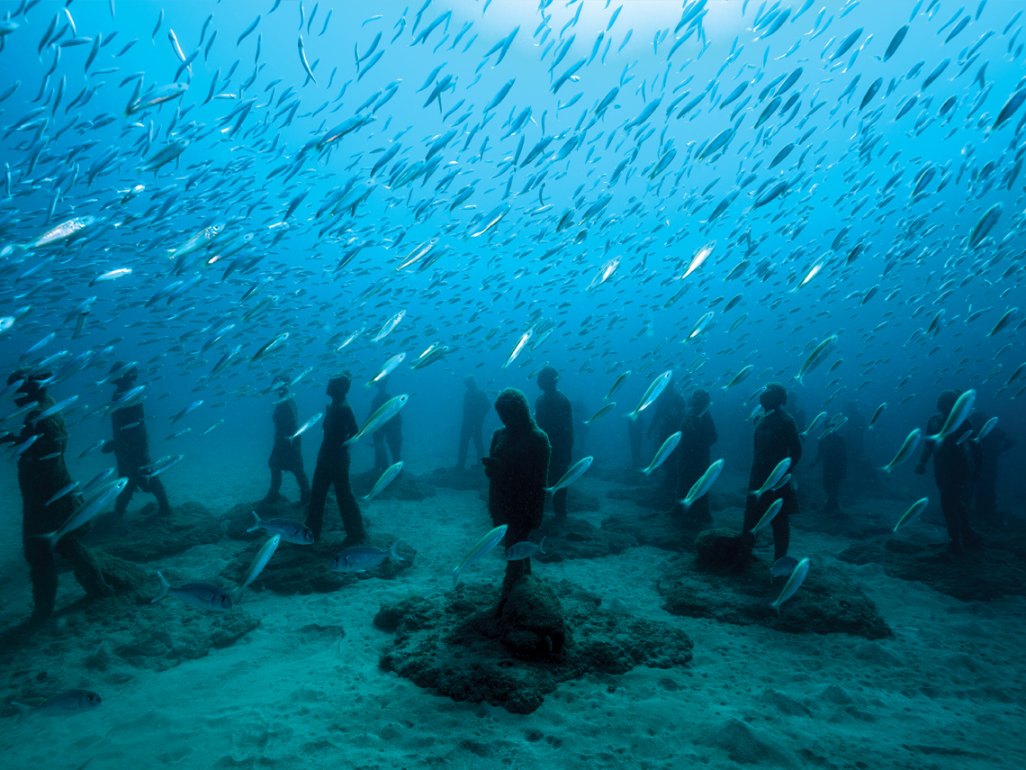 Museo Atlántico — Beneath the Surface | VUE magazine