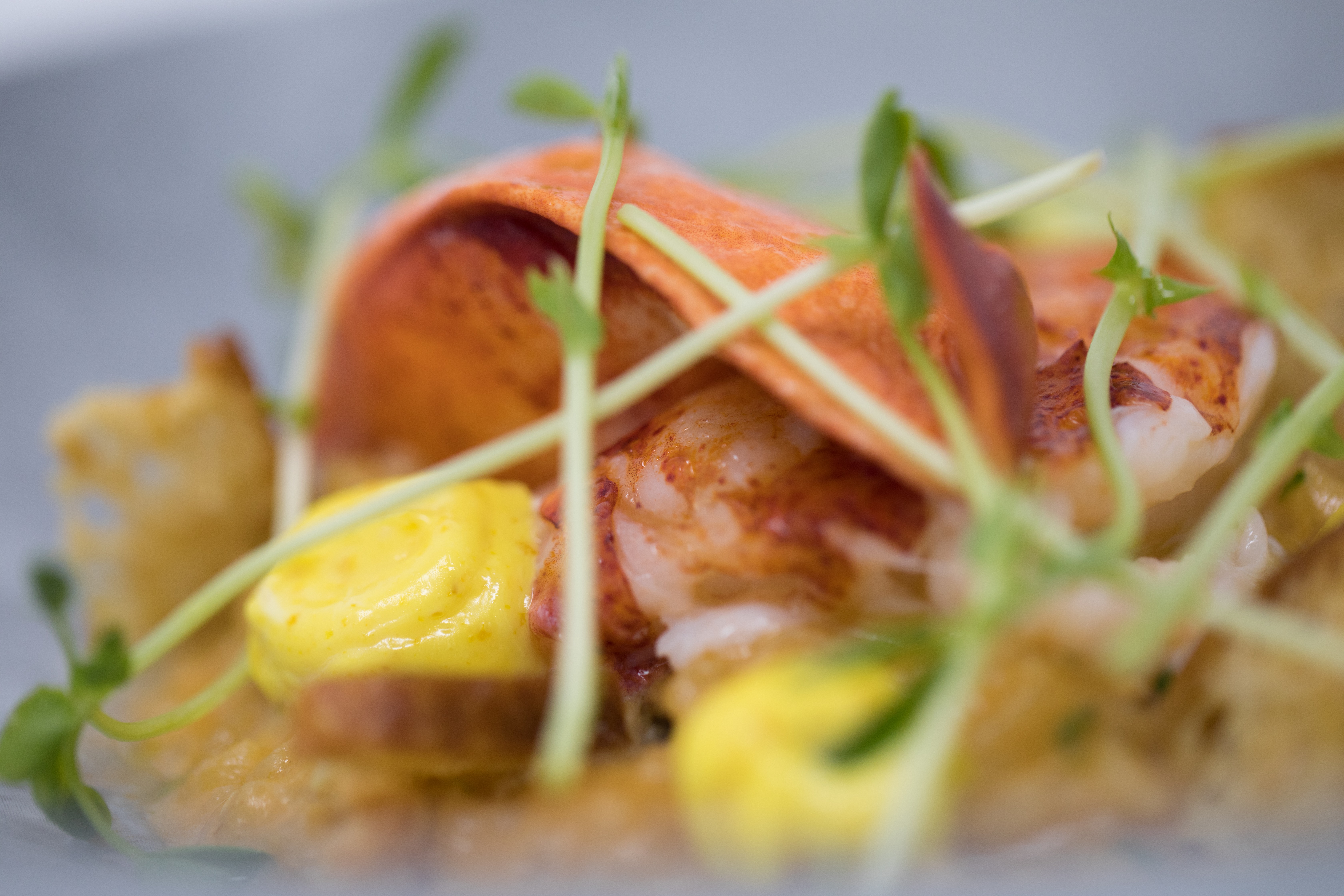 Butter Poached Nova Scotia Lobster, Shellfish Bouillabaisse Risotto ...
