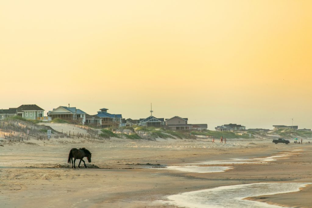 The Outer Banks: Barrier Island Bliss | VUE magazine